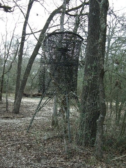 Corley Ranch - Our Lodge